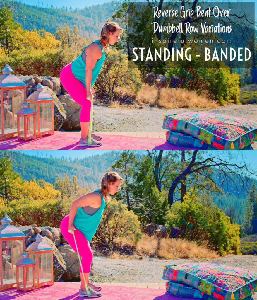 Reverse Grip Bent Over Dumbbell Row - Inspireful Women