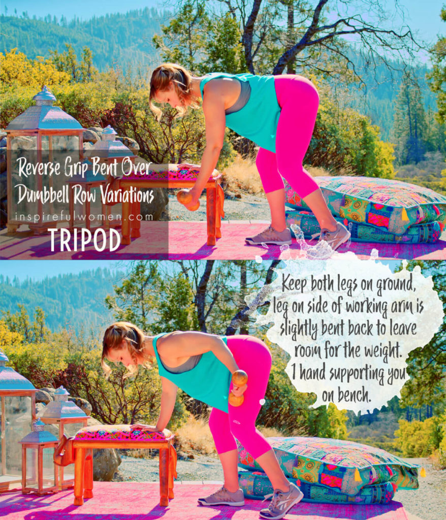 Reverse Grip Bent Over Dumbbell Row - Inspireful Women