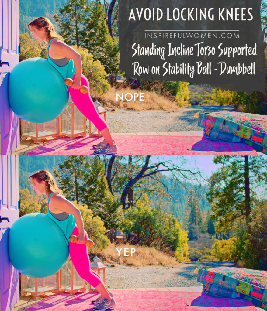 Standing Incline Dumbbell Lat Row on Ball - Inspireful Women