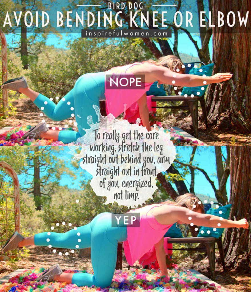 Bird Dog – Bodyweight - Inspireful Women