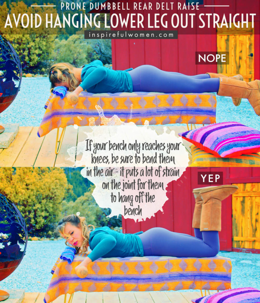 Dumbell Prone Rear Delt Raise - Inspireful Women