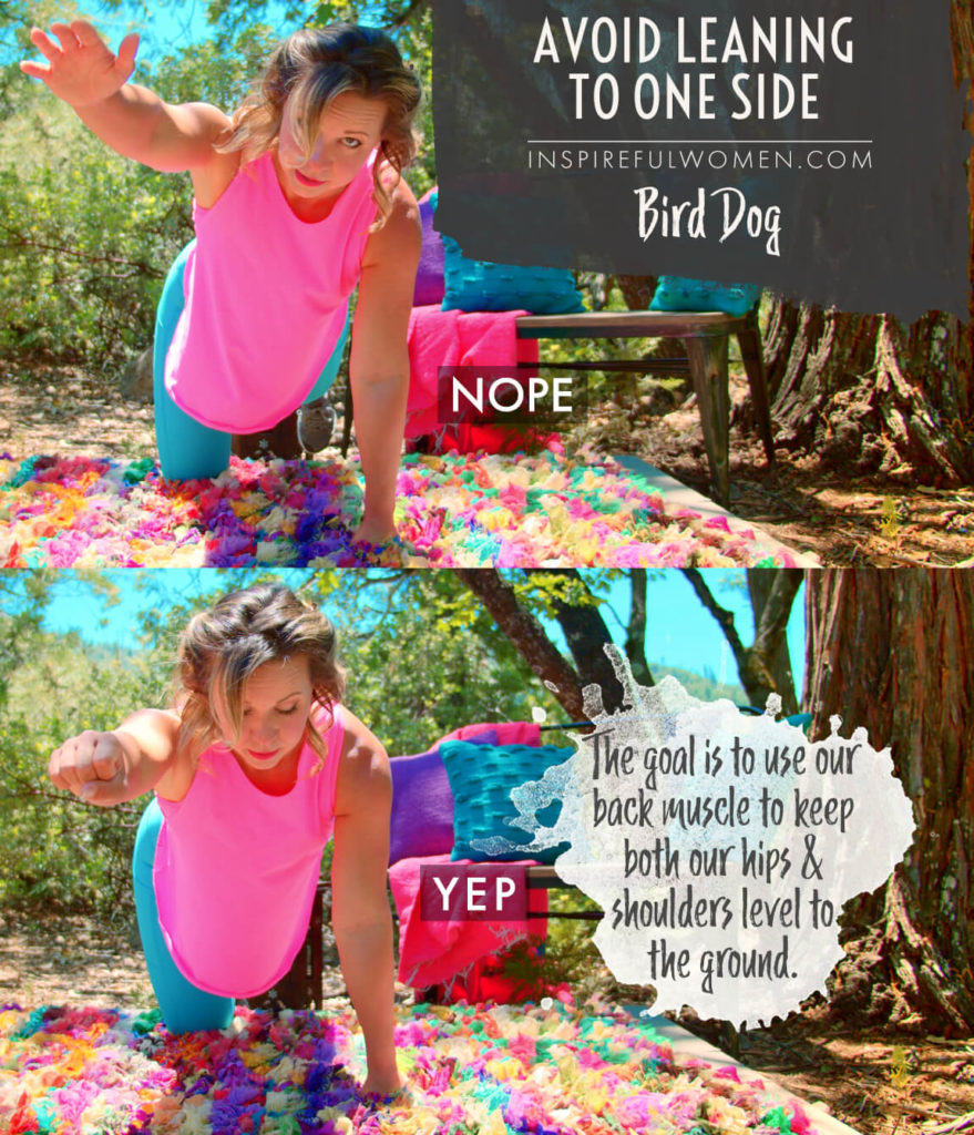 Bird Dog – Bodyweight - Inspireful Women