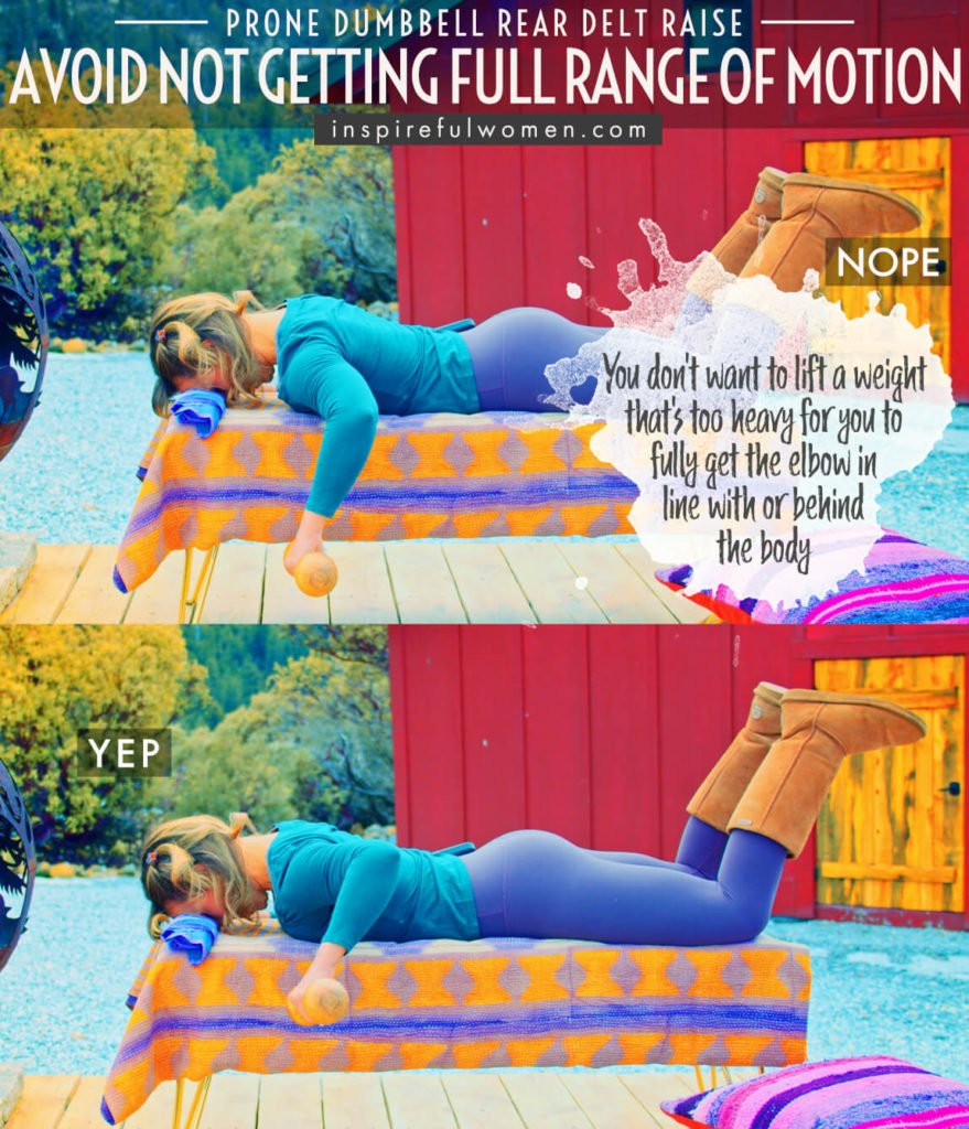 Dumbell Prone Rear Delt Raise - Inspireful Women