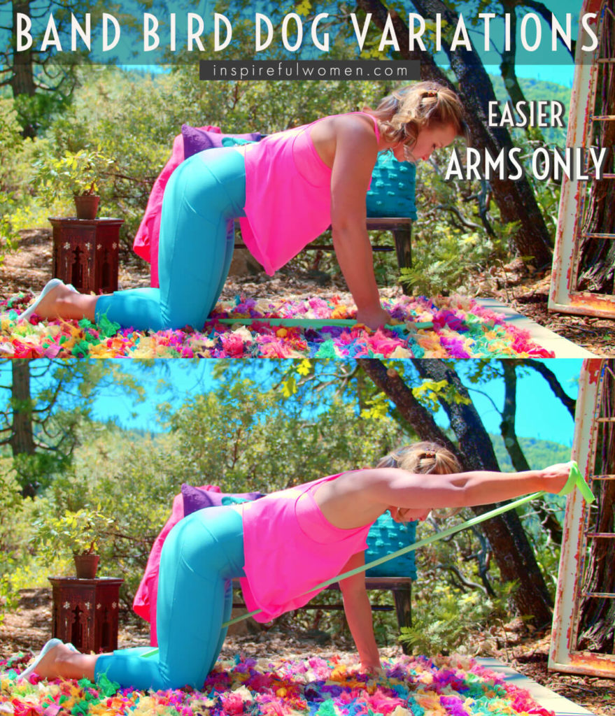 Resistance Band Bird Dog - Inspireful Women