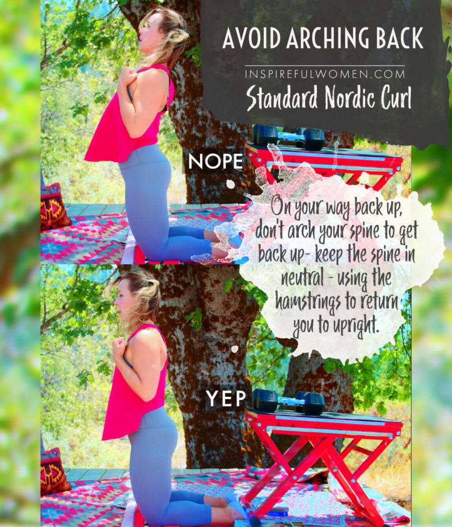 Standard Nordic Hamstring Curl - Inspireful Women