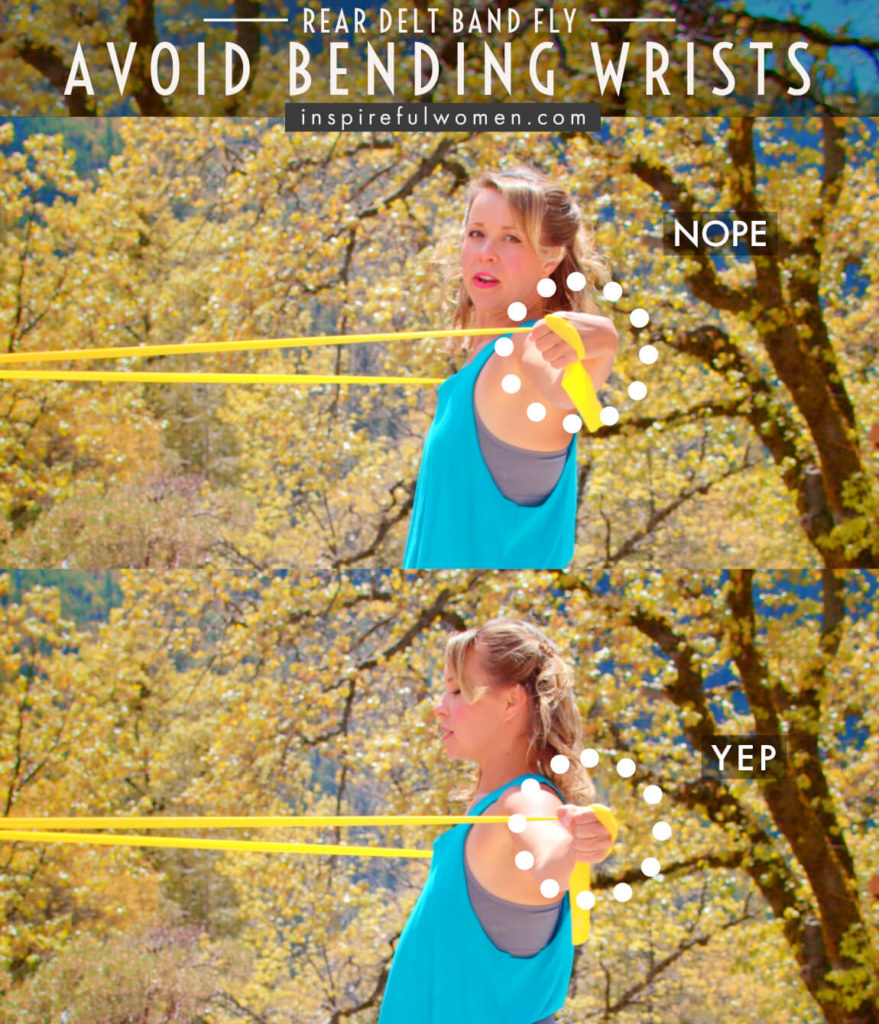 Rear Delt Band Fly – Wall Anchored - Inspireful Women