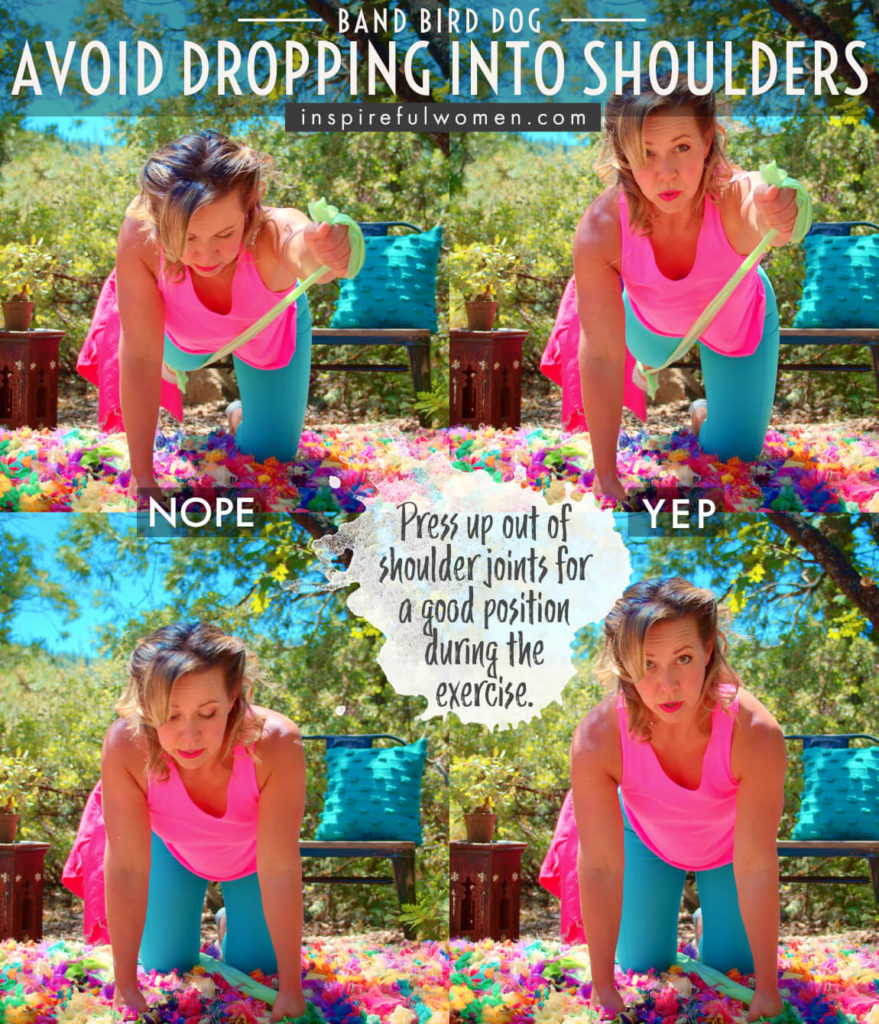 Resistance Band Bird Dog - Inspireful Women