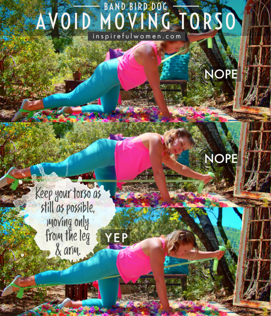 Resistance Band Bird Dog - Inspireful Women