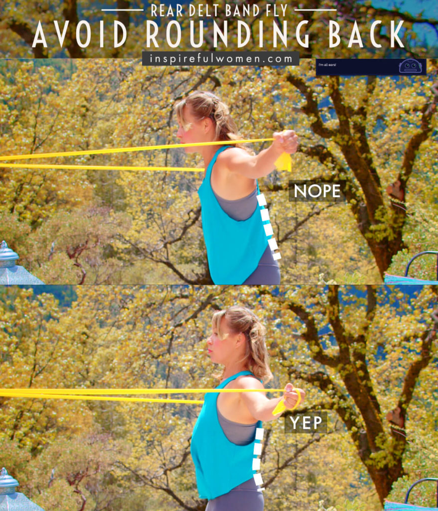 Rear Delt Band Fly – Wall Anchored - Inspireful Women