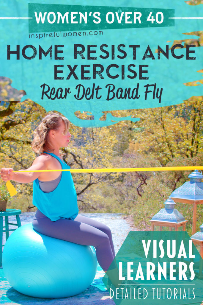Rear Delt Band Fly – Wall Anchored - Inspireful Women