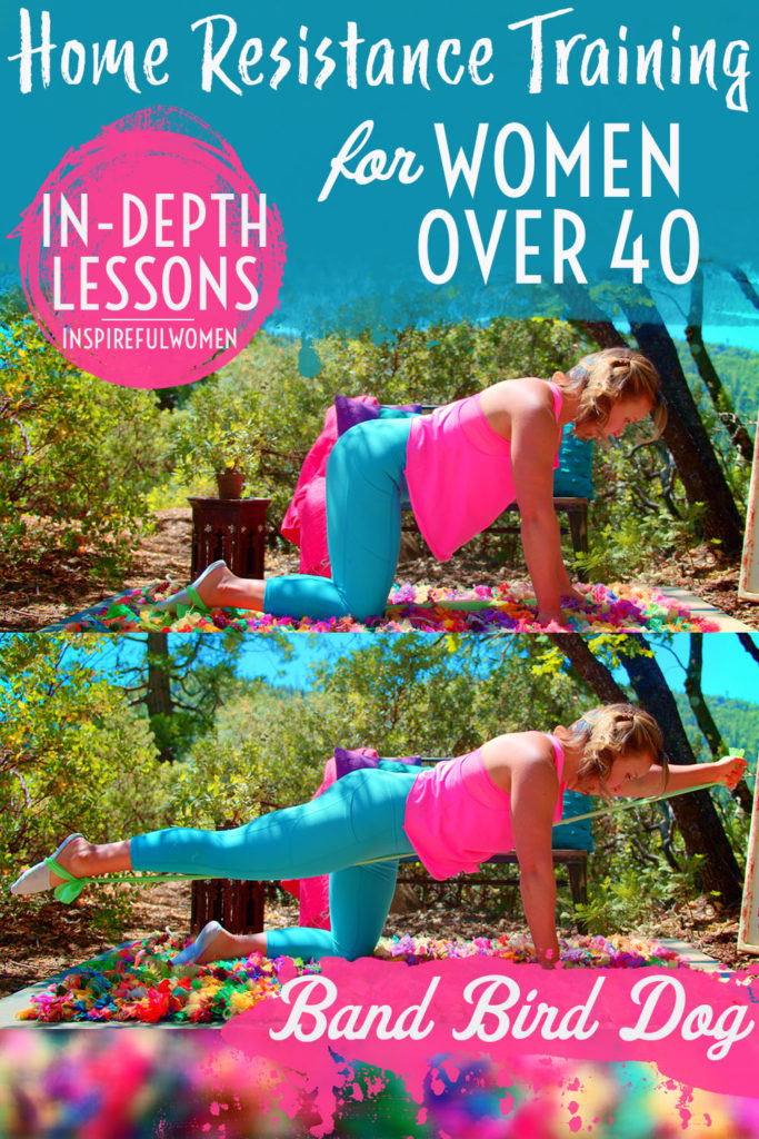 Resistance Band Bird Dog - Inspireful Women