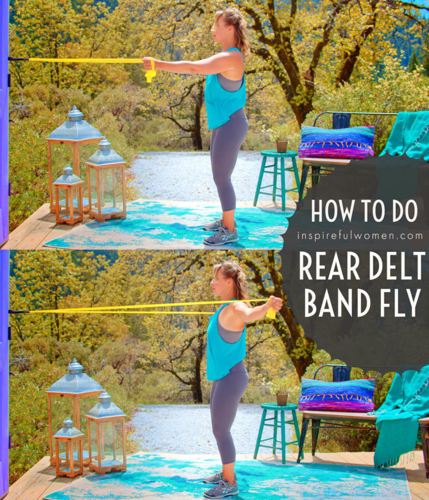 Rear Delt Band Fly – Wall Anchored - Inspireful Women