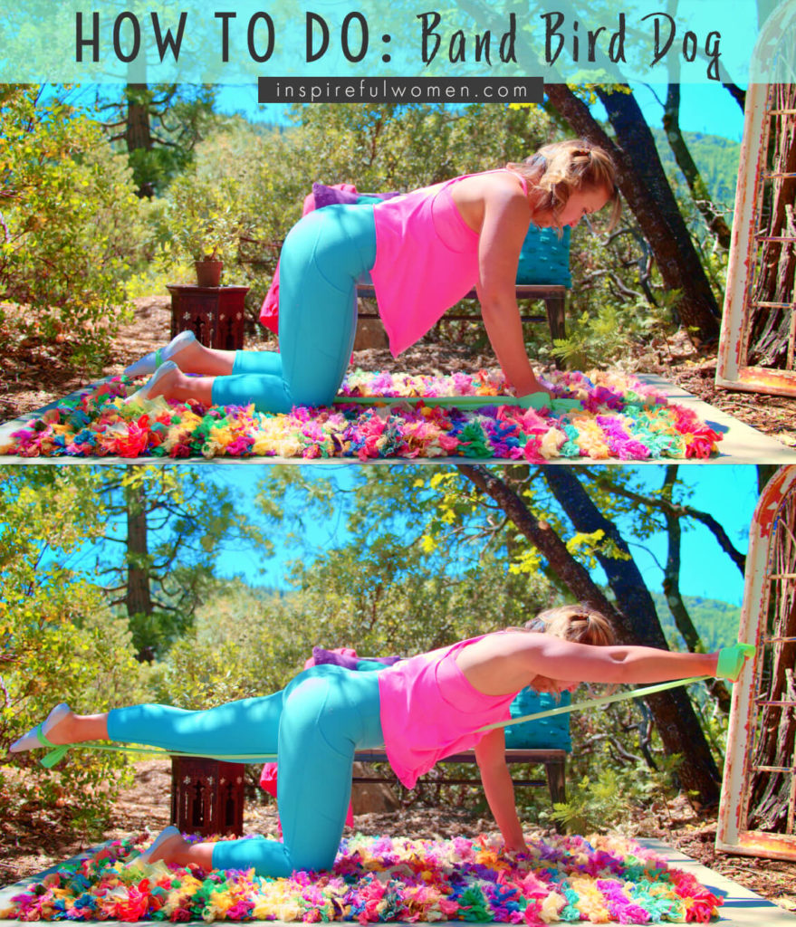 Resistance Band Bird Dog - Inspireful Women