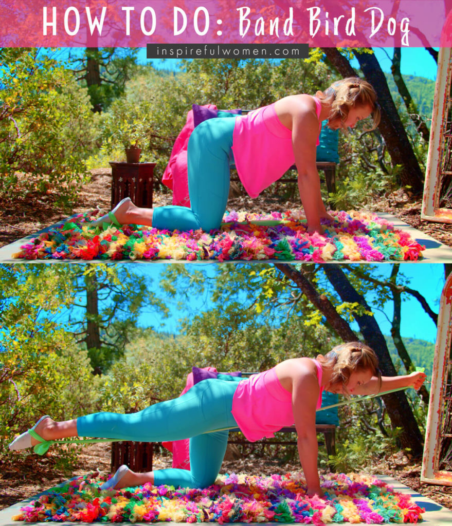 Resistance Band Bird Dog - Inspireful Women