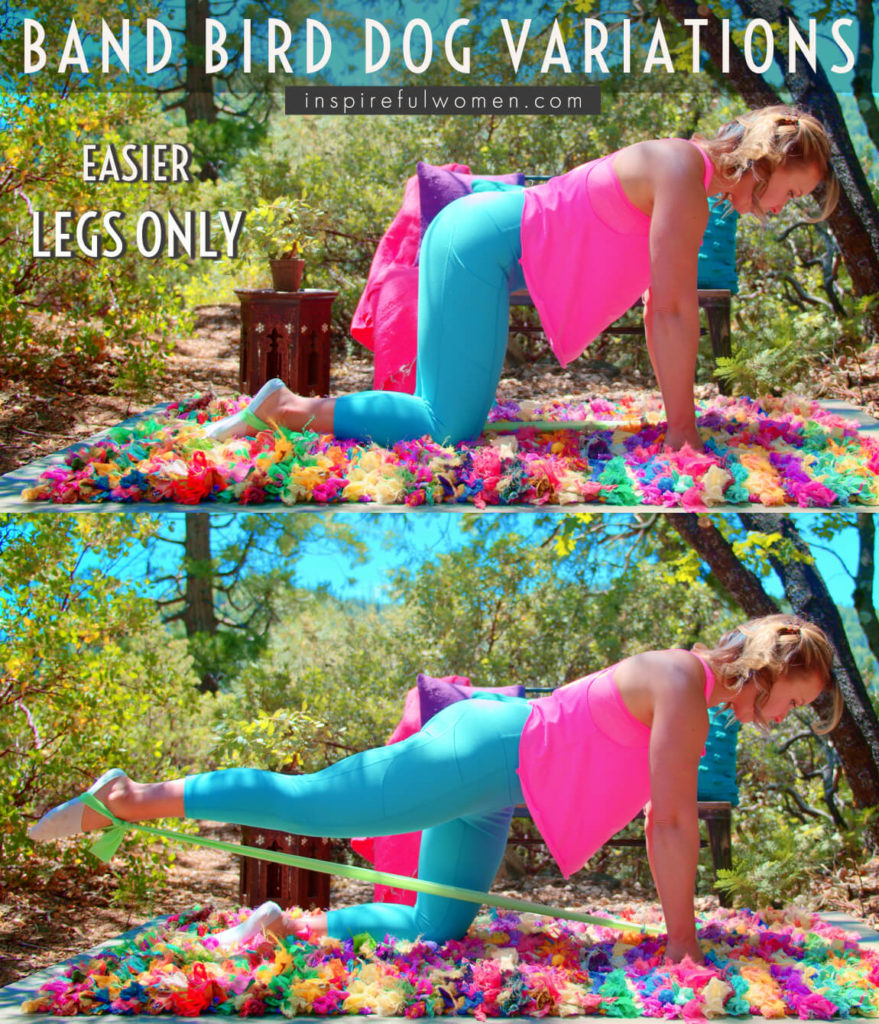 Resistance Band Bird Dog - Inspireful Women