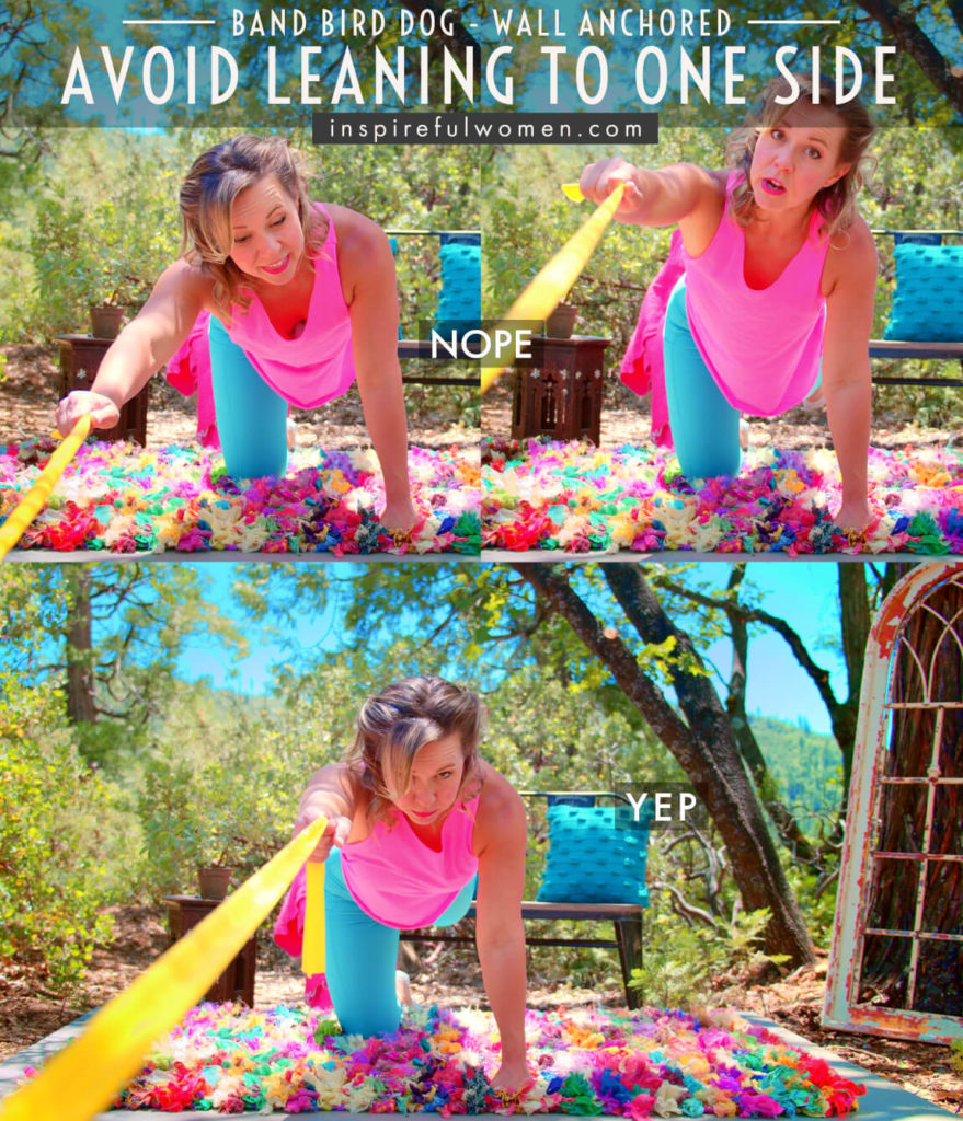 Band Bird Dog – Wall Anchored - Inspireful Women