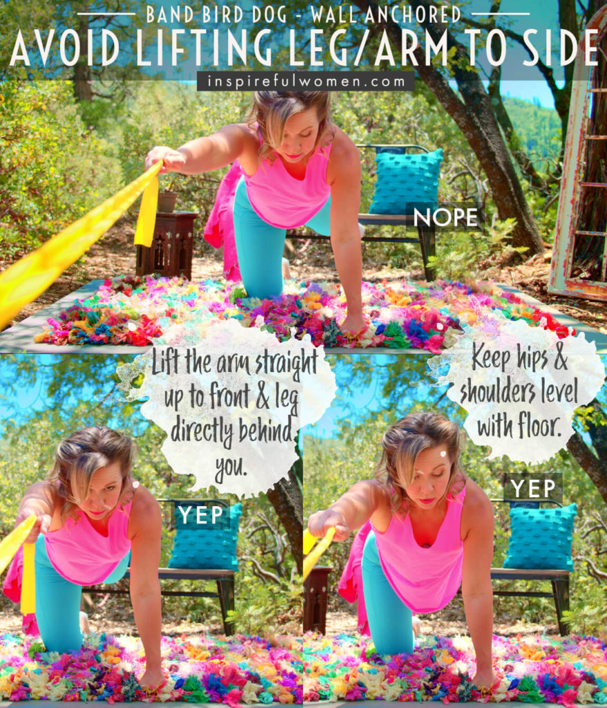 Band Bird Dog – Wall Anchored - Inspireful Women