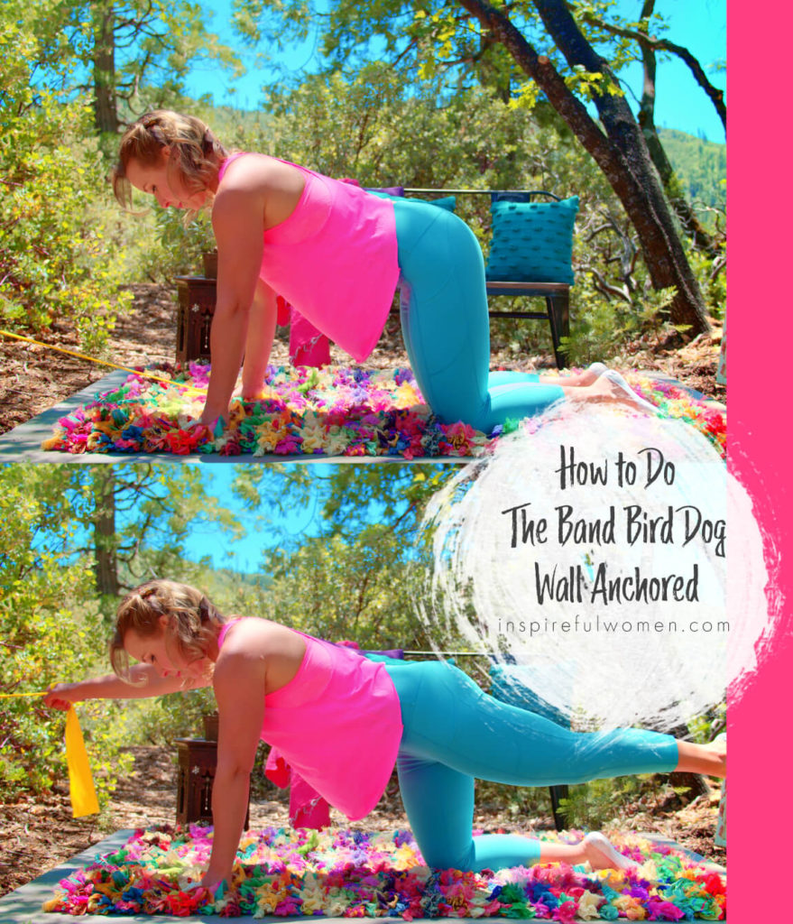 Band Bird Dog – Wall Anchored - Inspireful Women