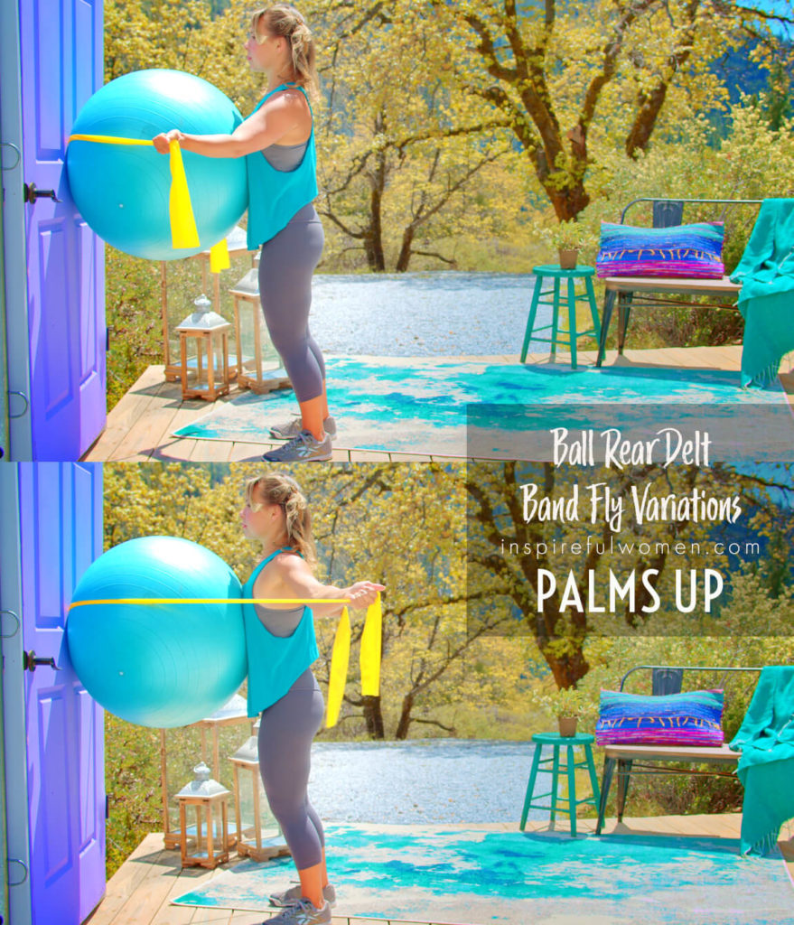 Rear Delt Band Fly – Ball Anchored - Inspireful Women