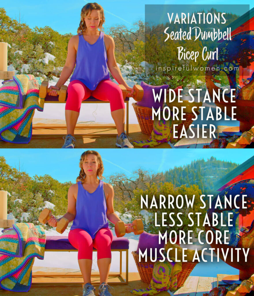 Seated Dumbbell Bicep Curl - Inspireful Women